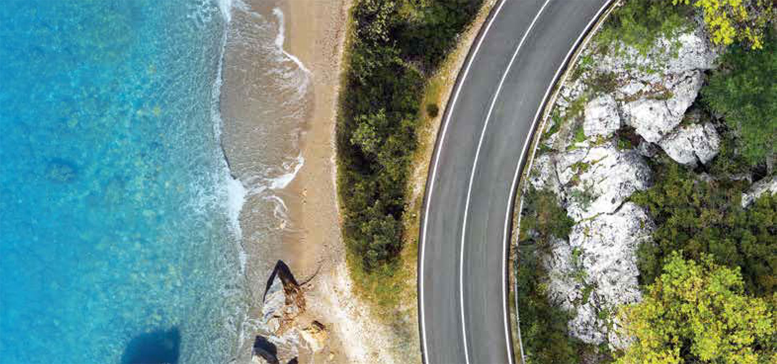 Annual Report and Accounts 2020 - Impax Asset Management