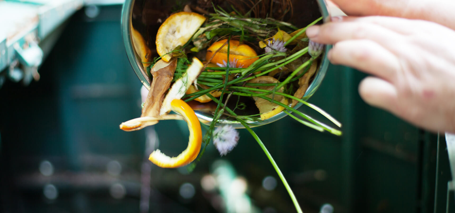 From seed to supper: opportunities in food waste mitigation - Impax ...
