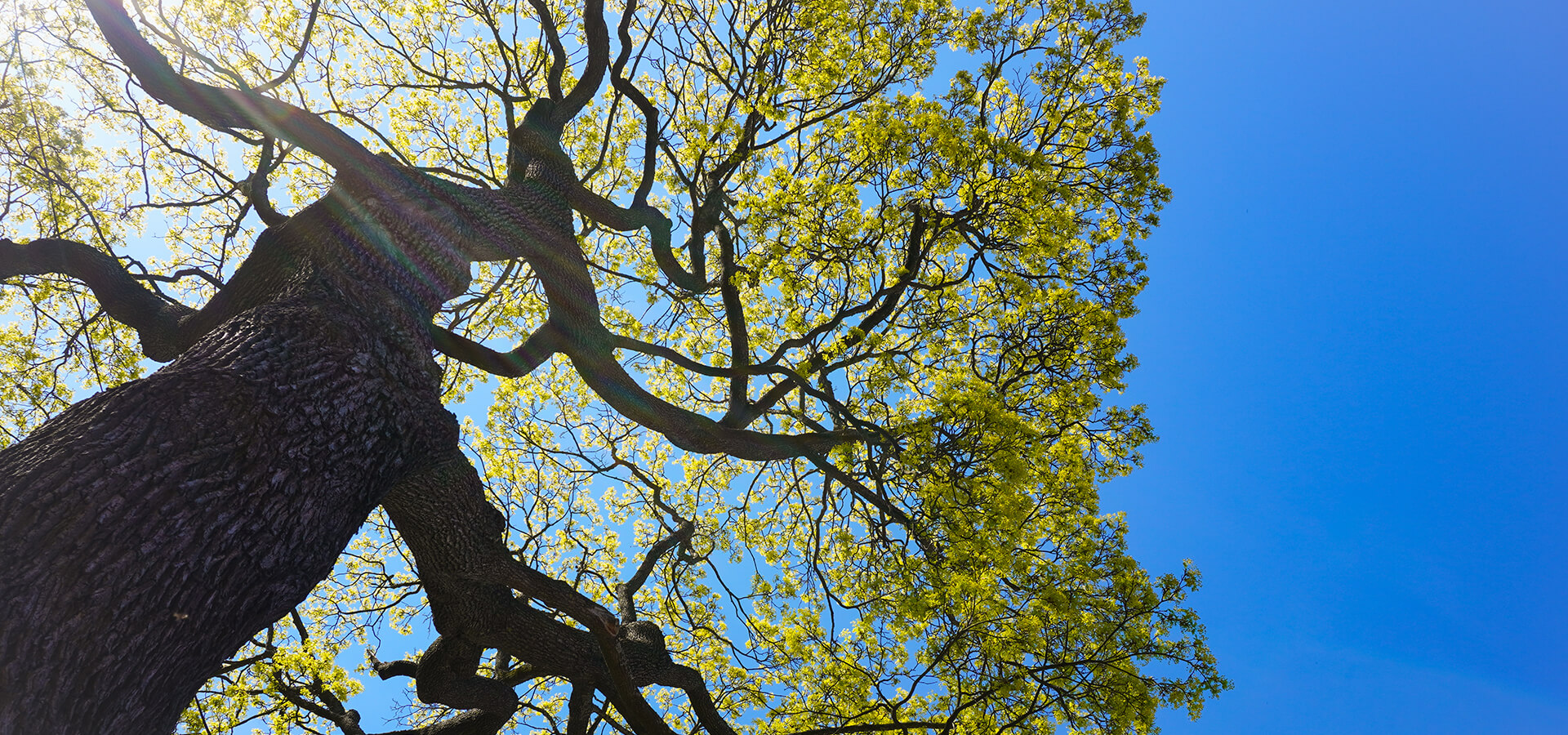 A farewell message from Joe Keefe, President, Impax North America ...