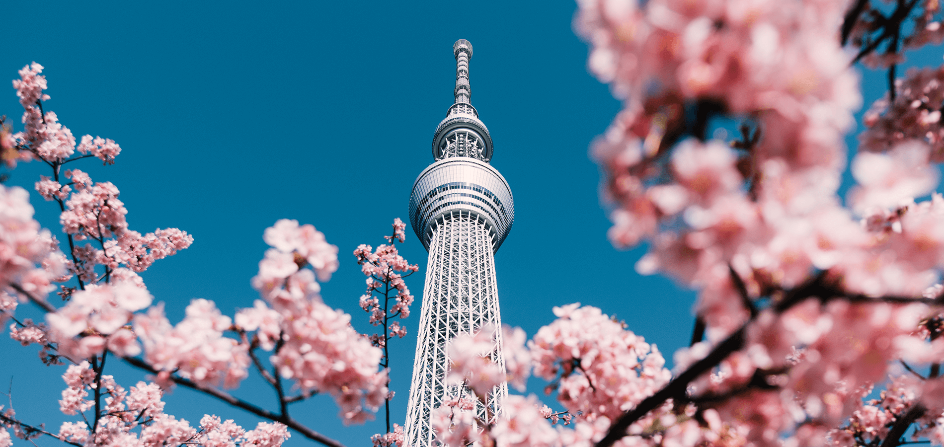 Systematic stewardship in action: Gender diversity in Japan - Impax ...