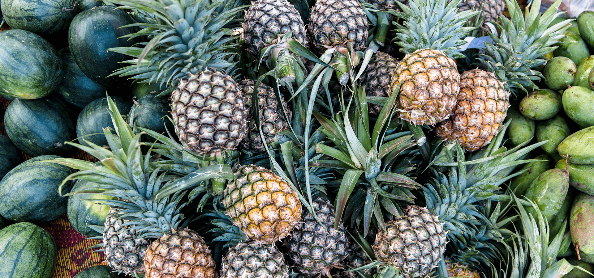 The 'inverted pyramid': winners from new US food guidelines - Impax ...